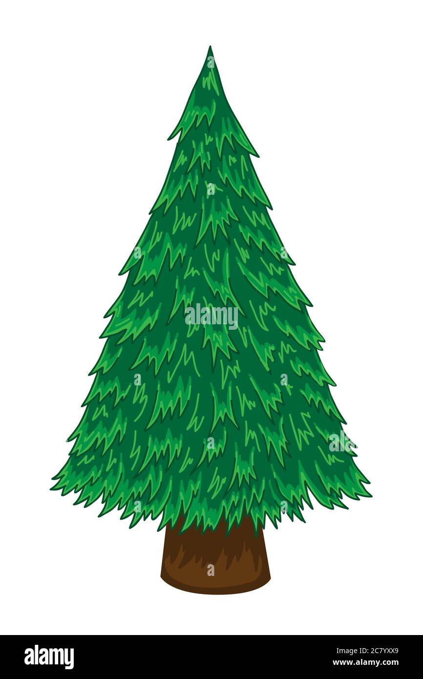 Pine tree clipart immagini e fotografie stock ad alta risoluzione - Alamy