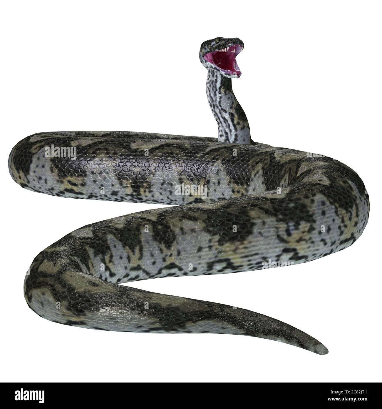 Titanoboa snake immagini e fotografie stock ad alta risoluzione - Alamy