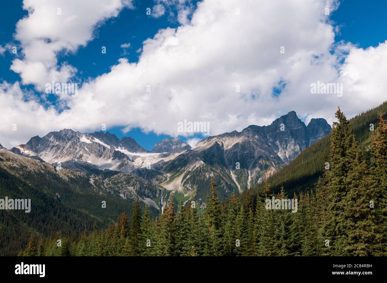 Mountain hermit immagini e fotografie stock ad alta risoluzione - Alamy