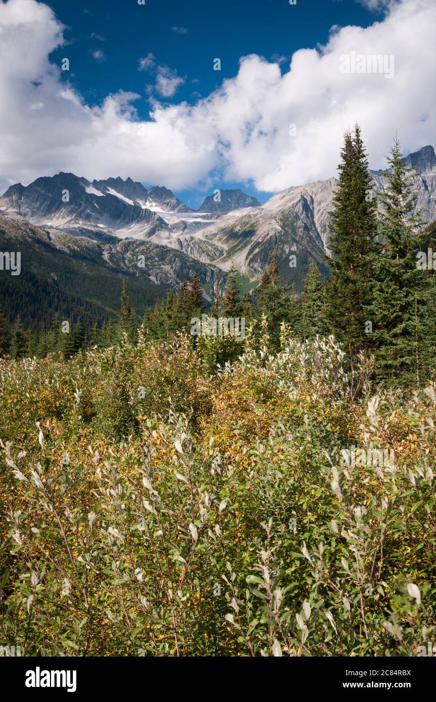 Mountain hermit immagini e fotografie stock ad alta risoluzione - Alamy