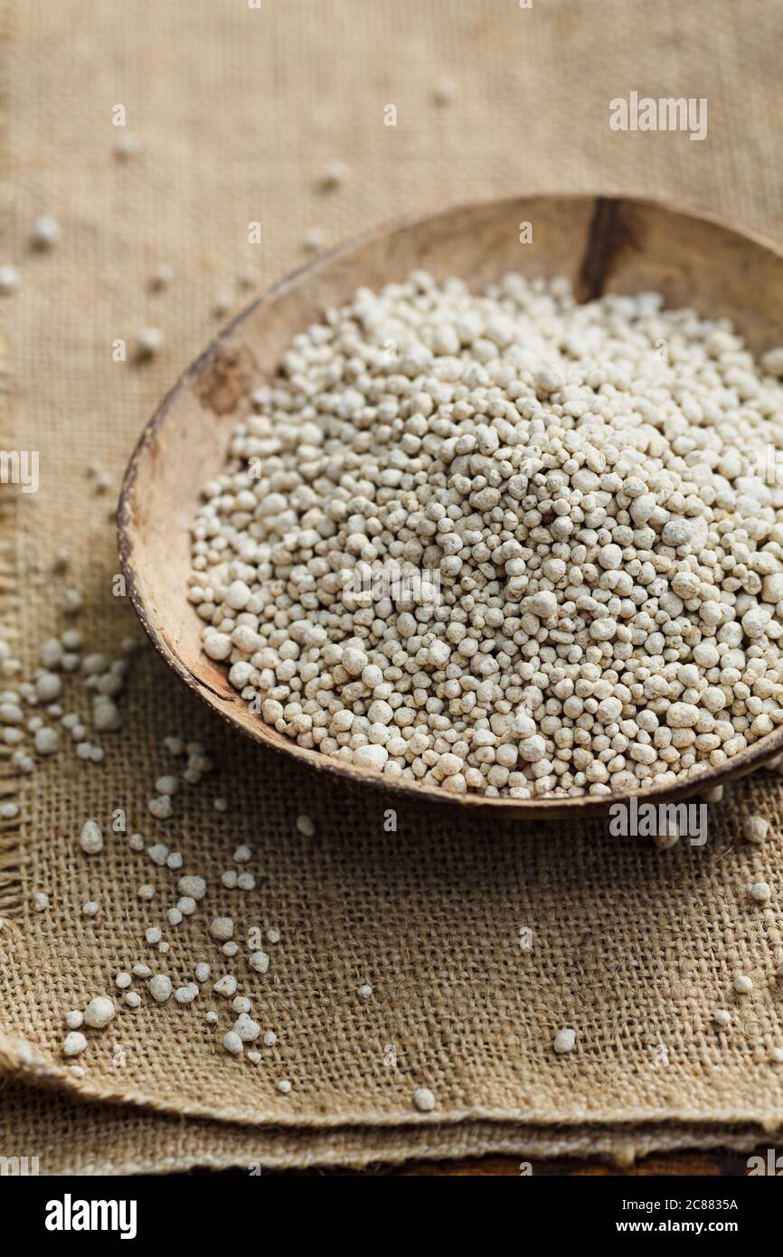 Senegal millet immagini e fotografie stock ad alta risoluzione - Alamy