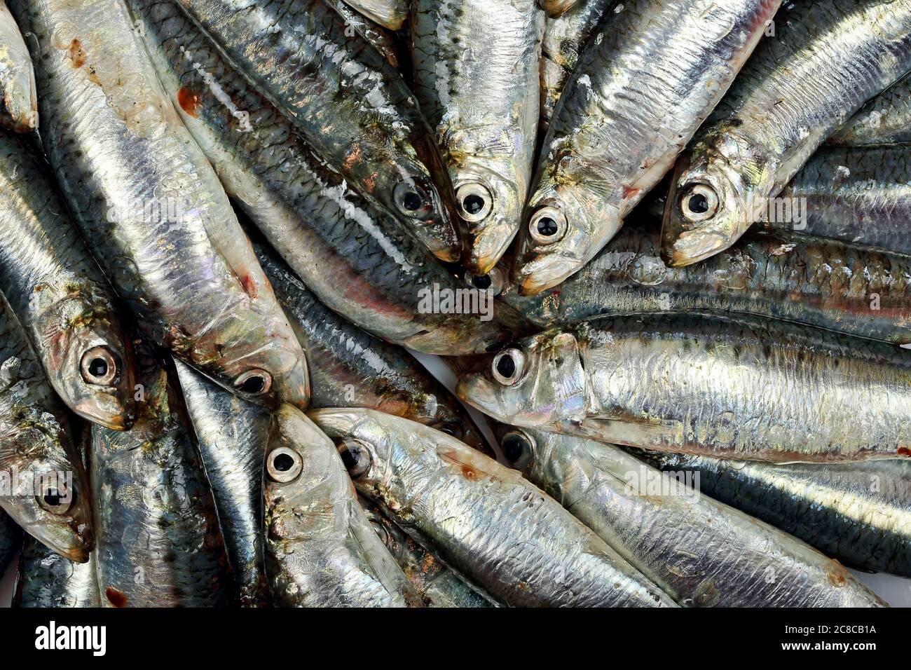 Pile of sardines immagini e fotografie stock ad alta risoluzione - Alamy