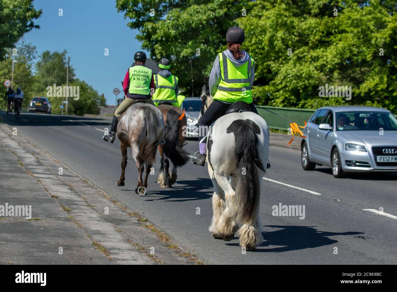 Sorpasso a cavallo sulla strada immagini e fotografie stock ad alta ...