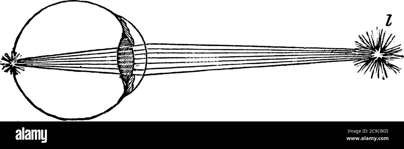 Partes del ojo con ilustración immagini e fotografie stock ad alta ...