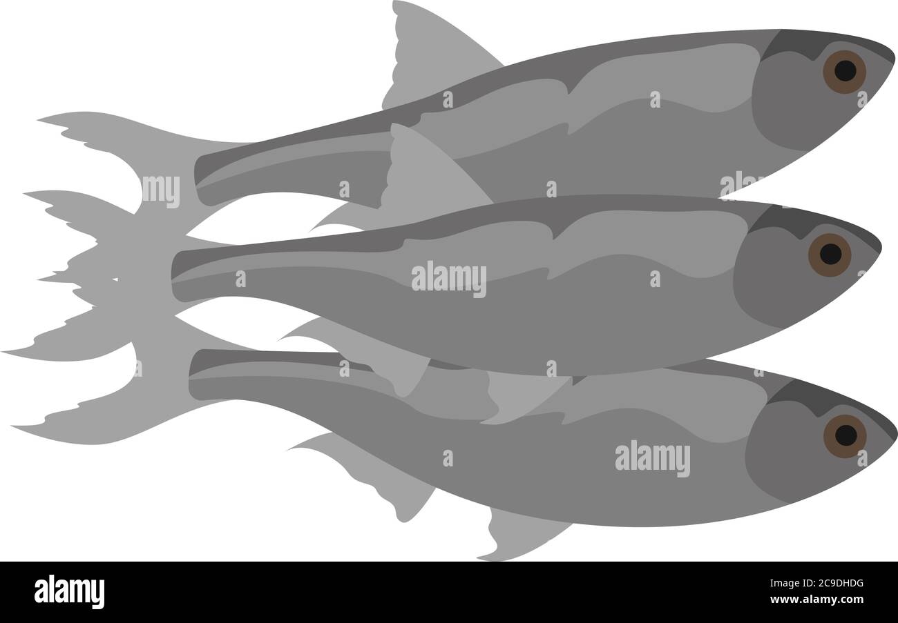 Spratto di fiume immagini e fotografie stock ad alta risoluzione - Alamy