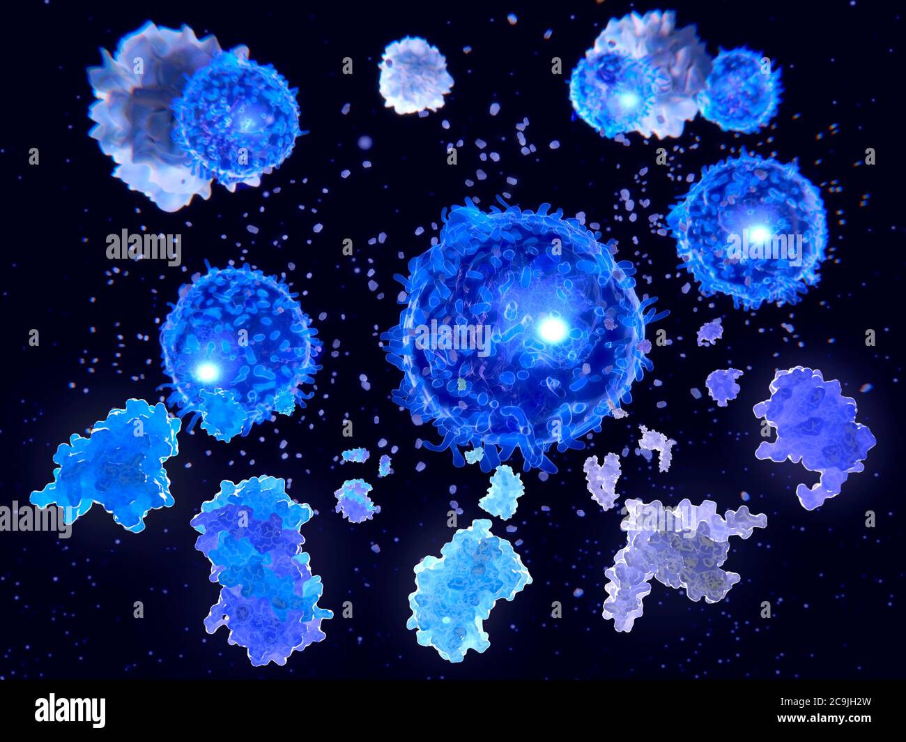 Cellula Dendritica Che Presenta Antigene Alla Cellula T Immagini e ...