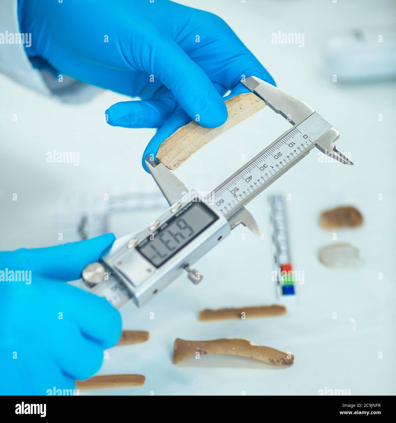 Laboratorio di antropologia immagini e fotografie stock ad alta ...