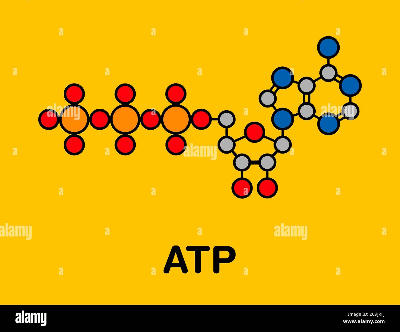 Molecola di adenosina trifosfato (ATP). Funziona come ...