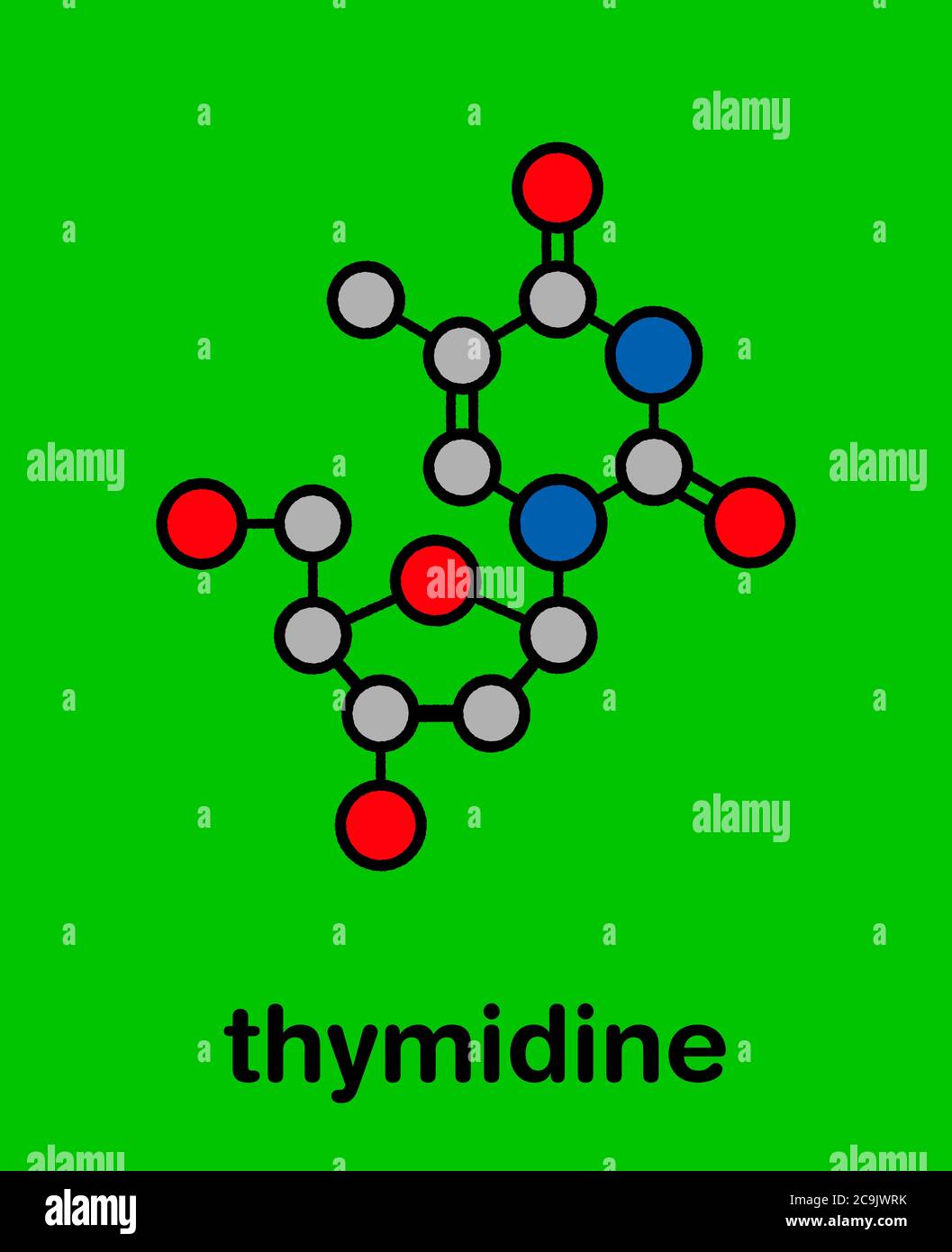 Molecola nucleosidica di timidina (deossitimidina). Blocco di ...
