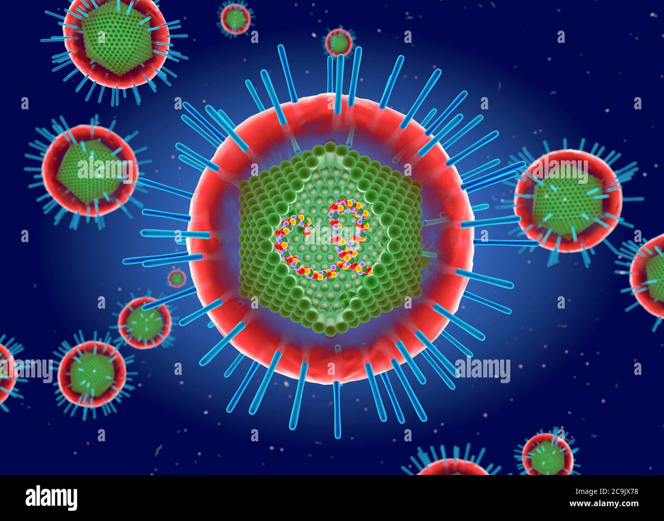 Virus t linfotropico dei primati immagini e fotografie stock ad alta ...