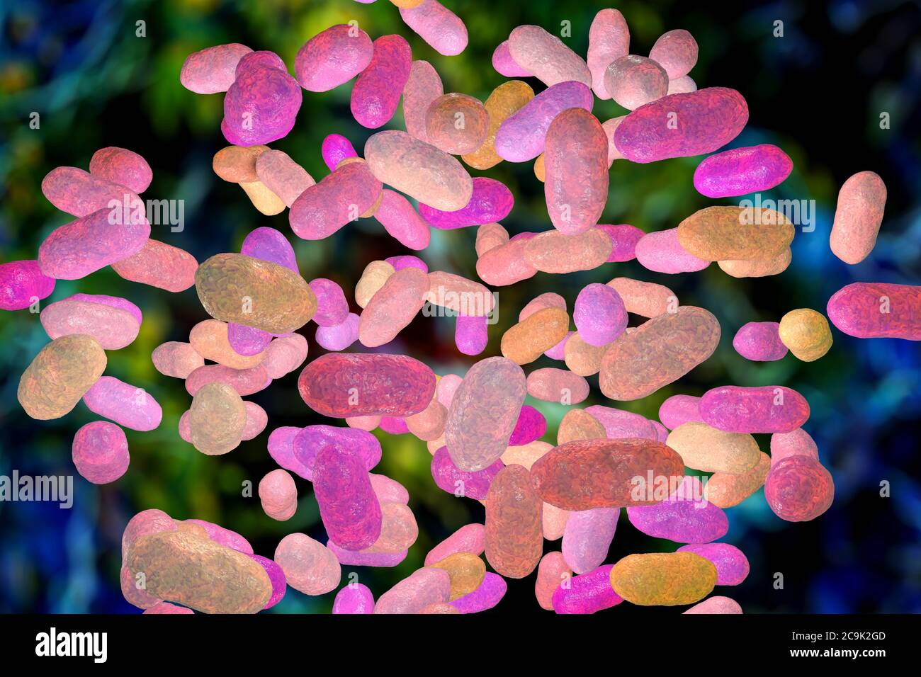 Porphyromonas gengivalis batterio orale, computer illustrazione. P ...