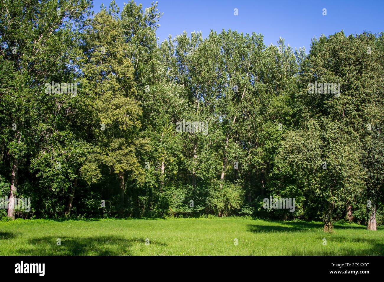 Danubio austria immagini e fotografie stock ad alta risoluzione - Alamy