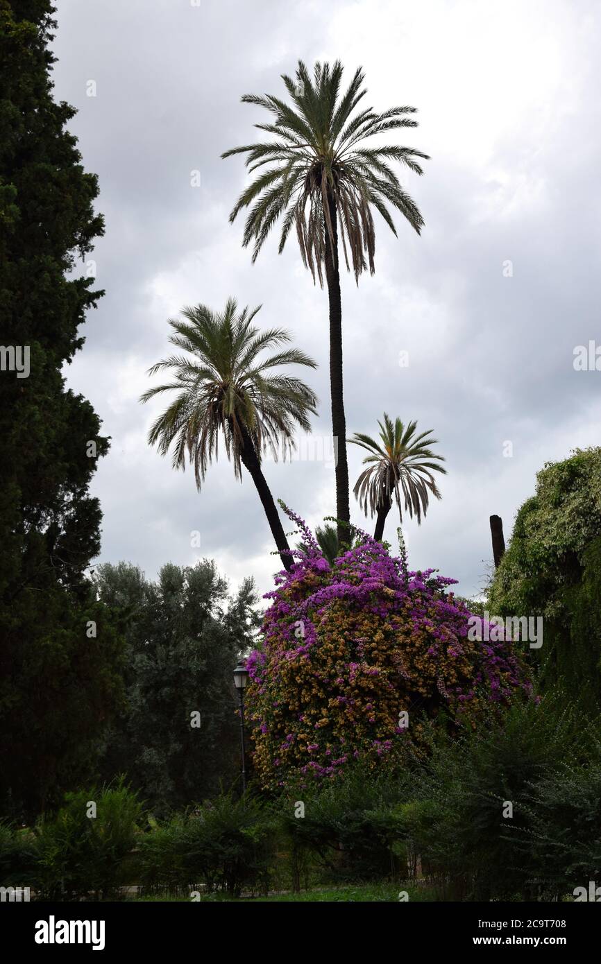 Per los calles de la ciudad de roma immagini e fotografie stock ad alta ...