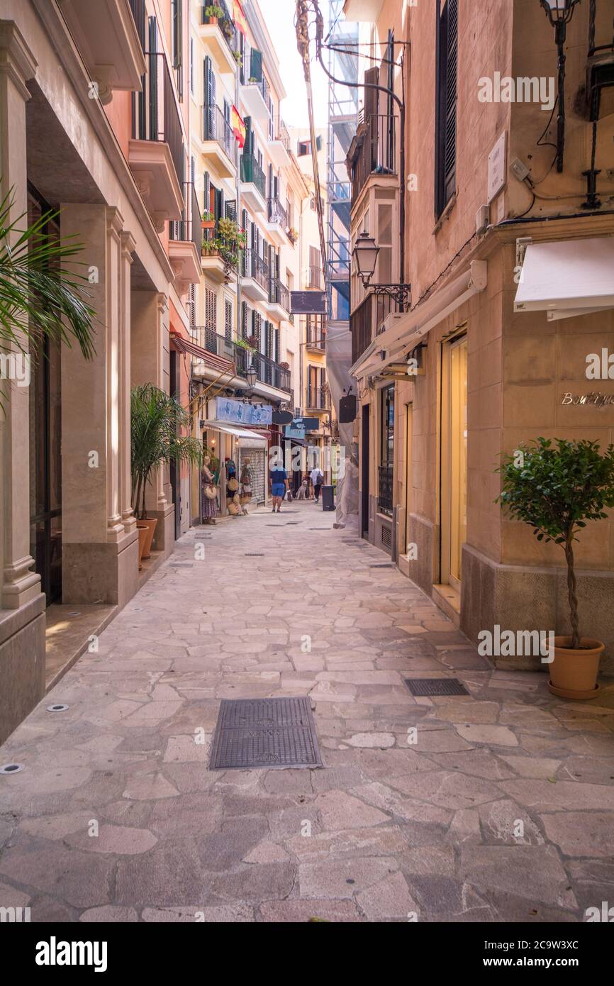 Strade di palma immagini e fotografie stock ad alta risoluzione - Alamy
