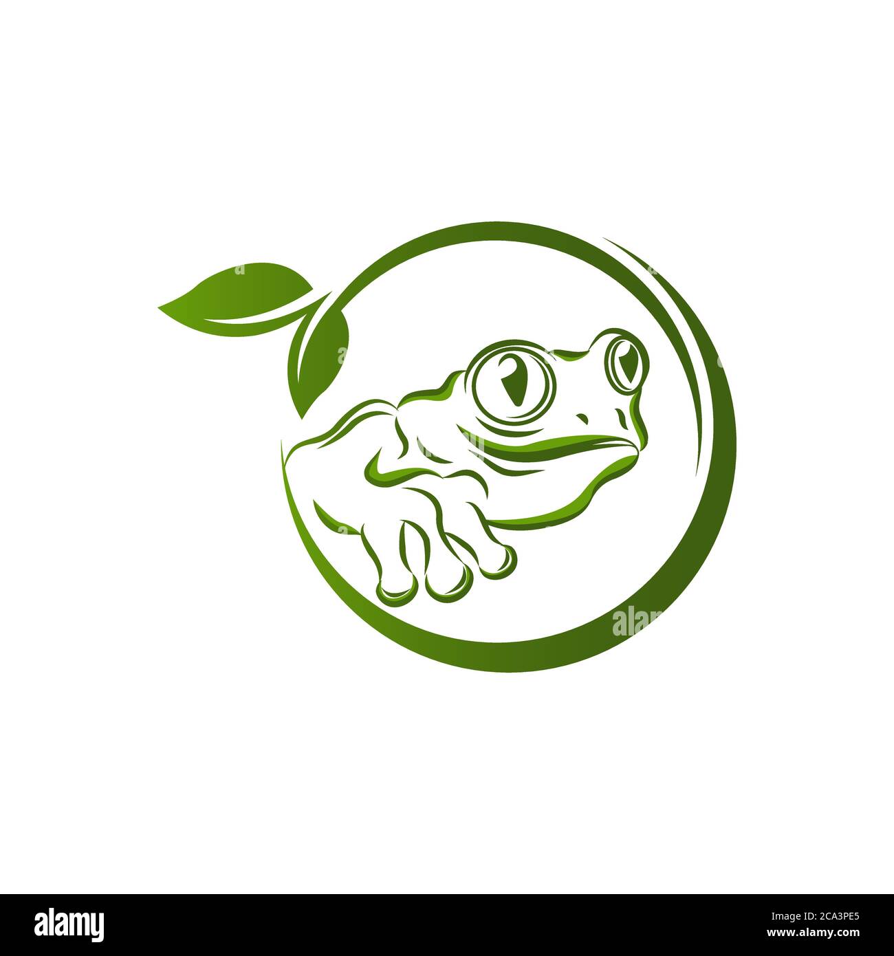 rana silhouette bianco sfondo isolato logo icona disegno vettoriale ...