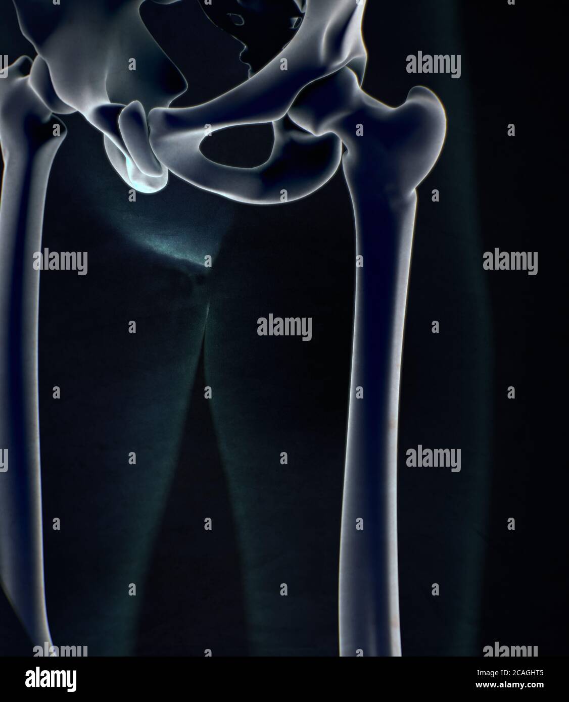 Osso ilium, osso dell'anca o bacino. Anatomia umana, raggi X struttura ...