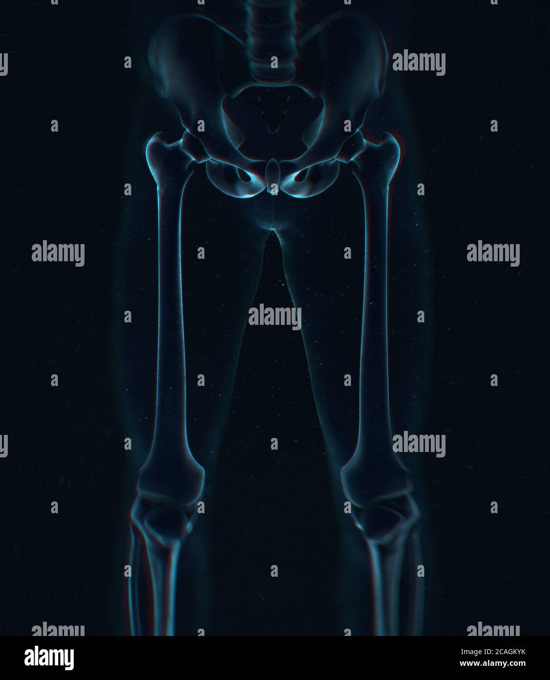 Osso ilium, osso dell'anca o bacino. Anatomia umana, raggi X struttura ...