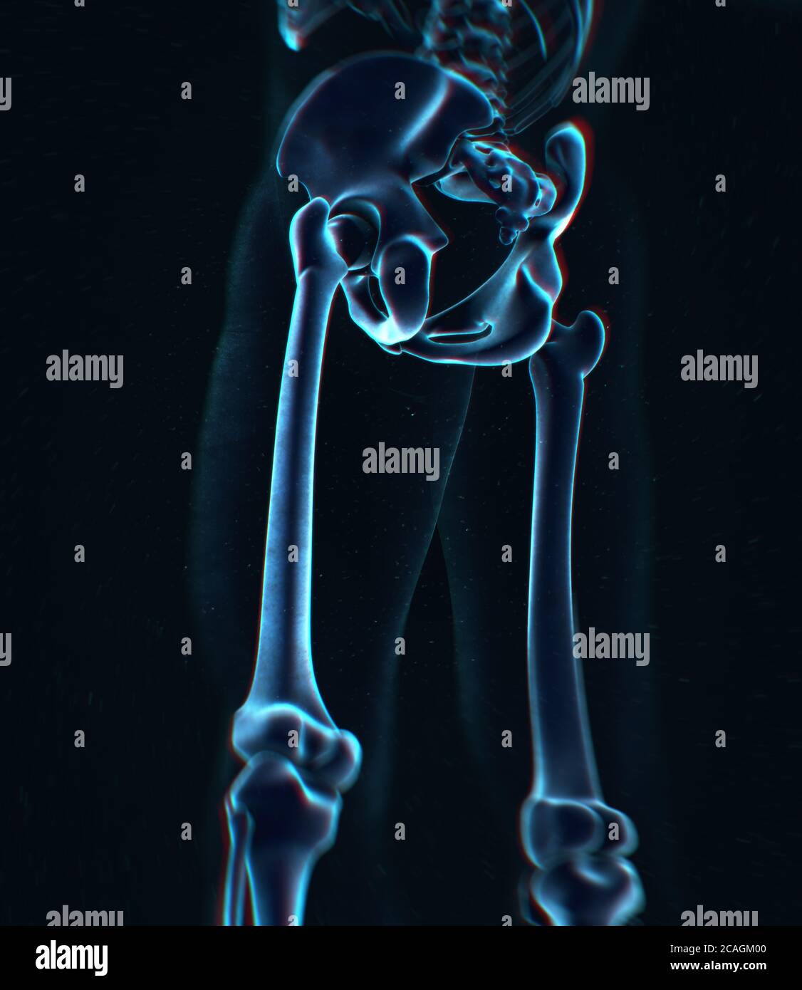 Osso ilium, osso dell'anca o bacino. Anatomia umana, raggi X struttura ...