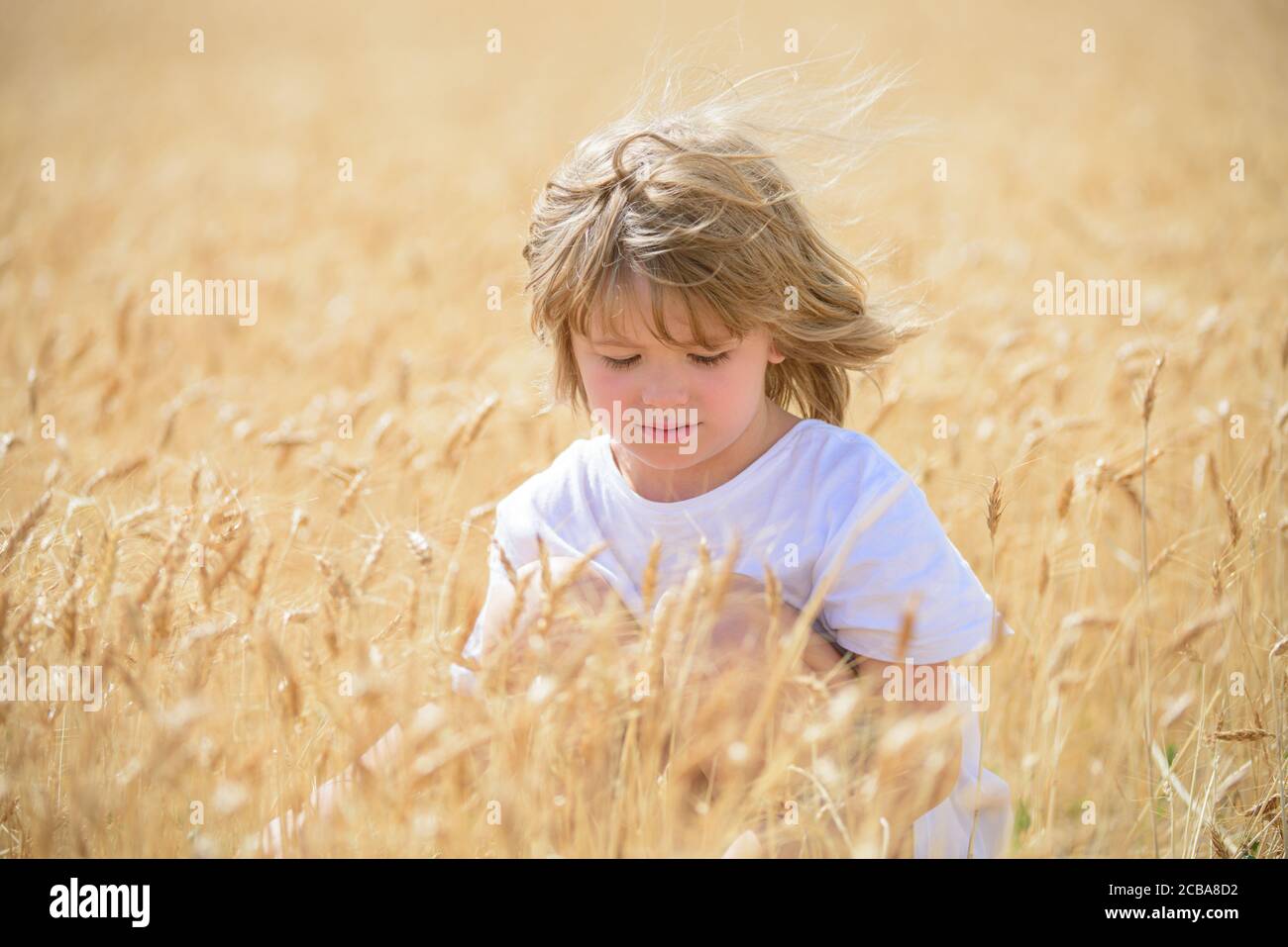 Felice contadino bambini piccoli sul campo. Il grano è una pianta di ...