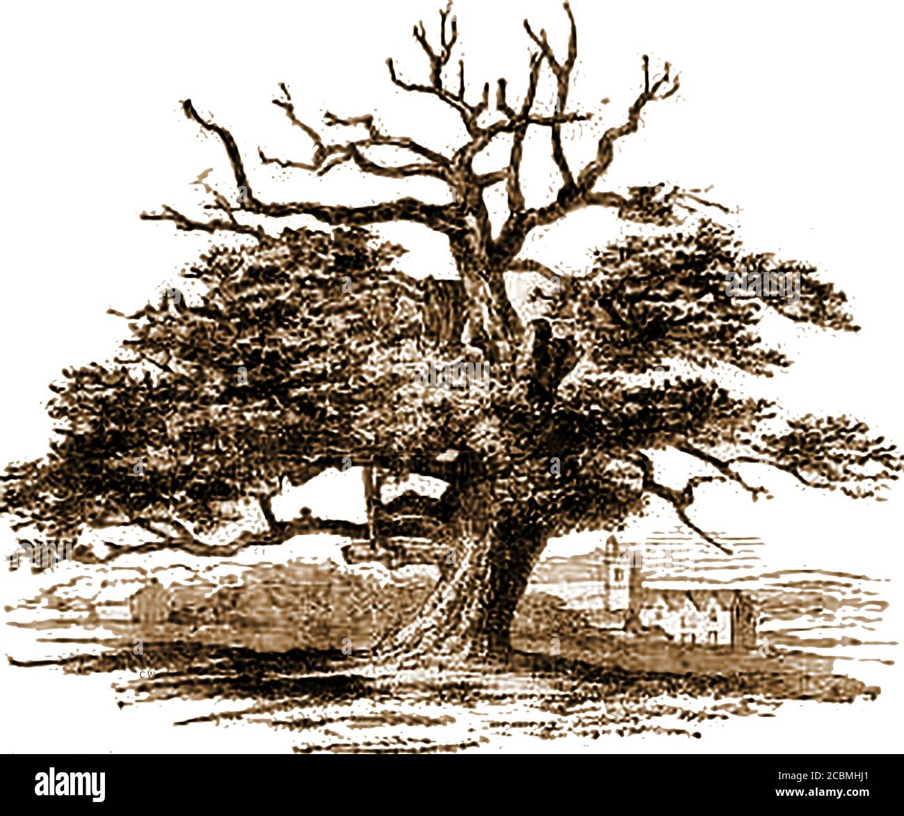 Scott james crofts immagini e fotografie stock ad alta risoluzione - Alamy