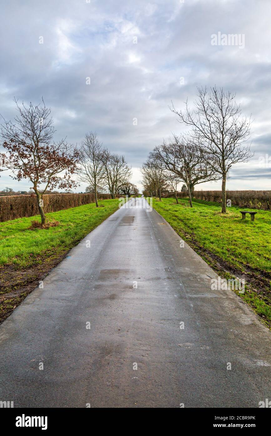 Guardando lungo una strada di campagna in Sussex su un inverni giorno ...