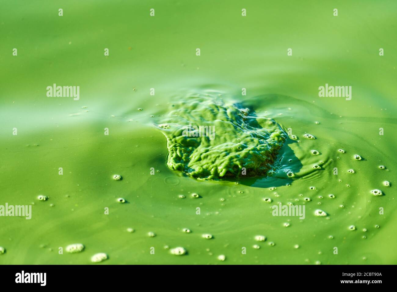 Inquinamento ambientale delle acque. Fiume inquinato - acqua verde ...
