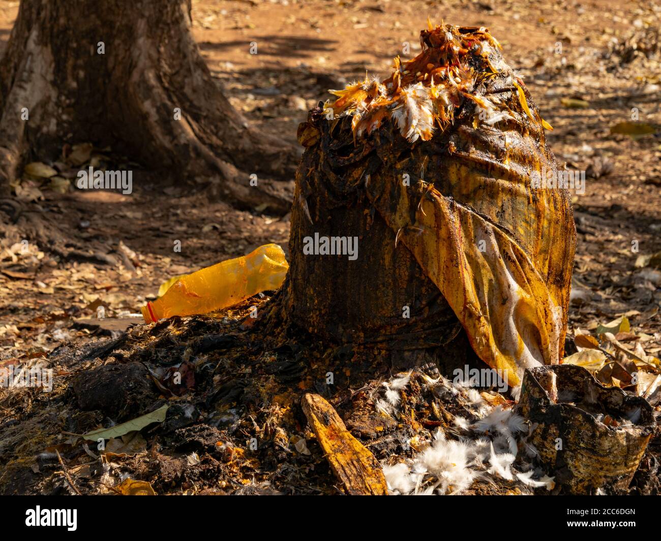 Dankoli, Benin - luogo sacro dove si svolgono cerimonie voodoo Foto ...