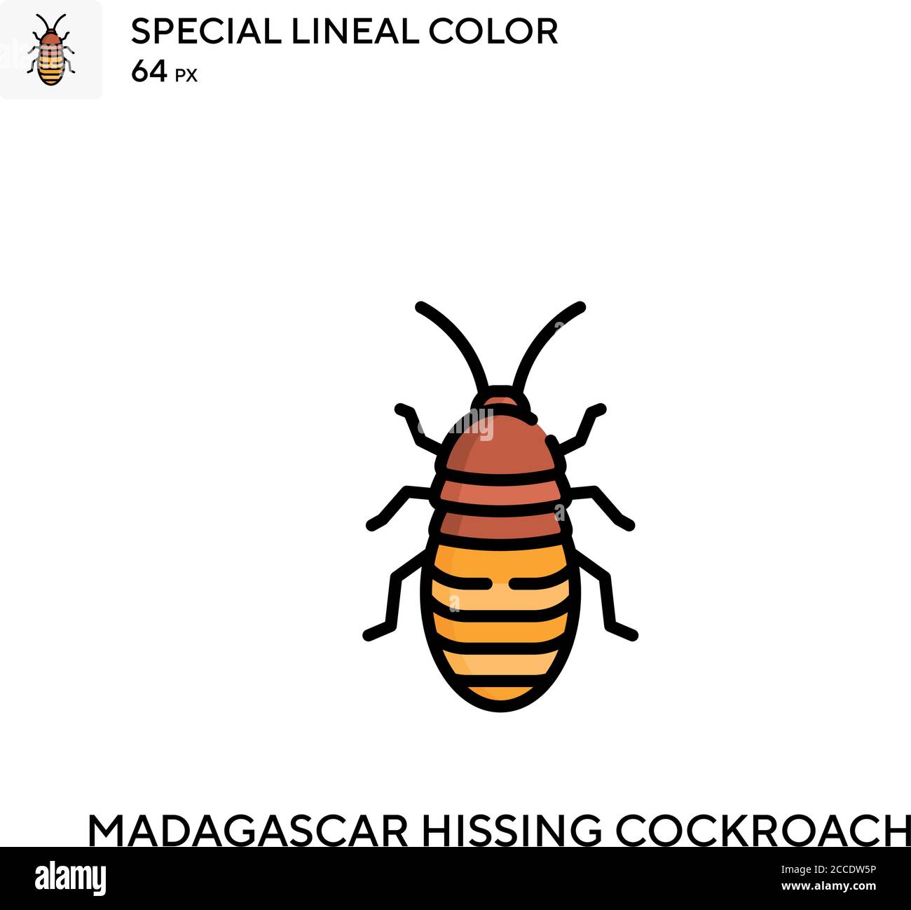 Scarafaggio sibilante madagascar Immagini Vettoriali Stock - Alamy