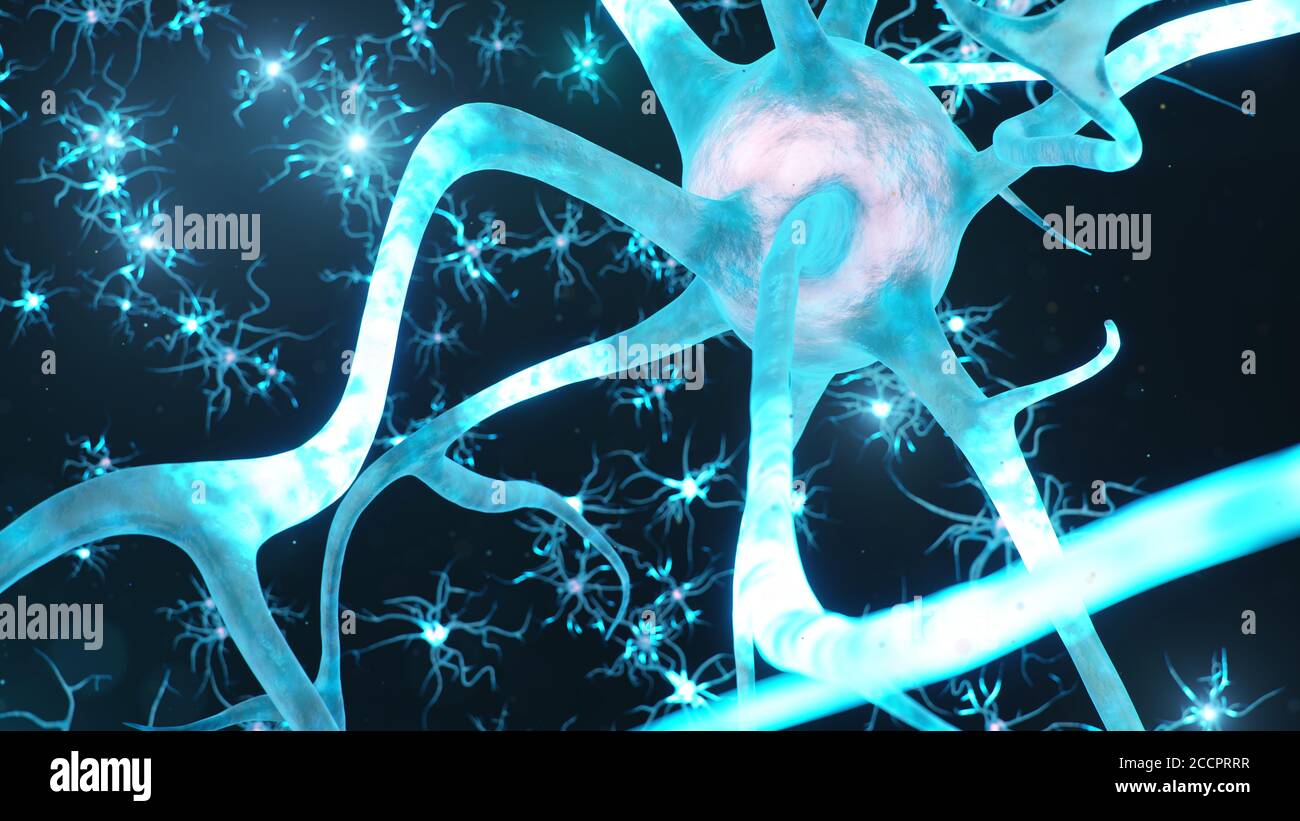 Anatomia delle sinapsi dei neuroni immagini e fotografie stock ad alta ...