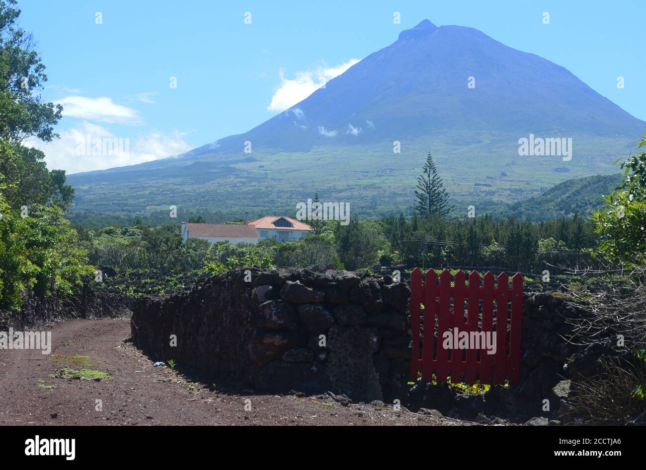 Il vulcano conico di Pico che incombe sulla sua omonima isola ...