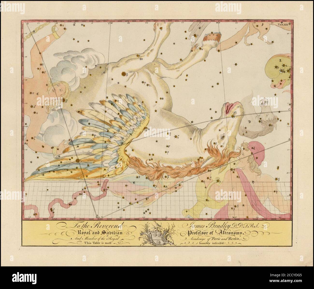 John bevis immagini e fotografie stock ad alta risoluzione - Alamy