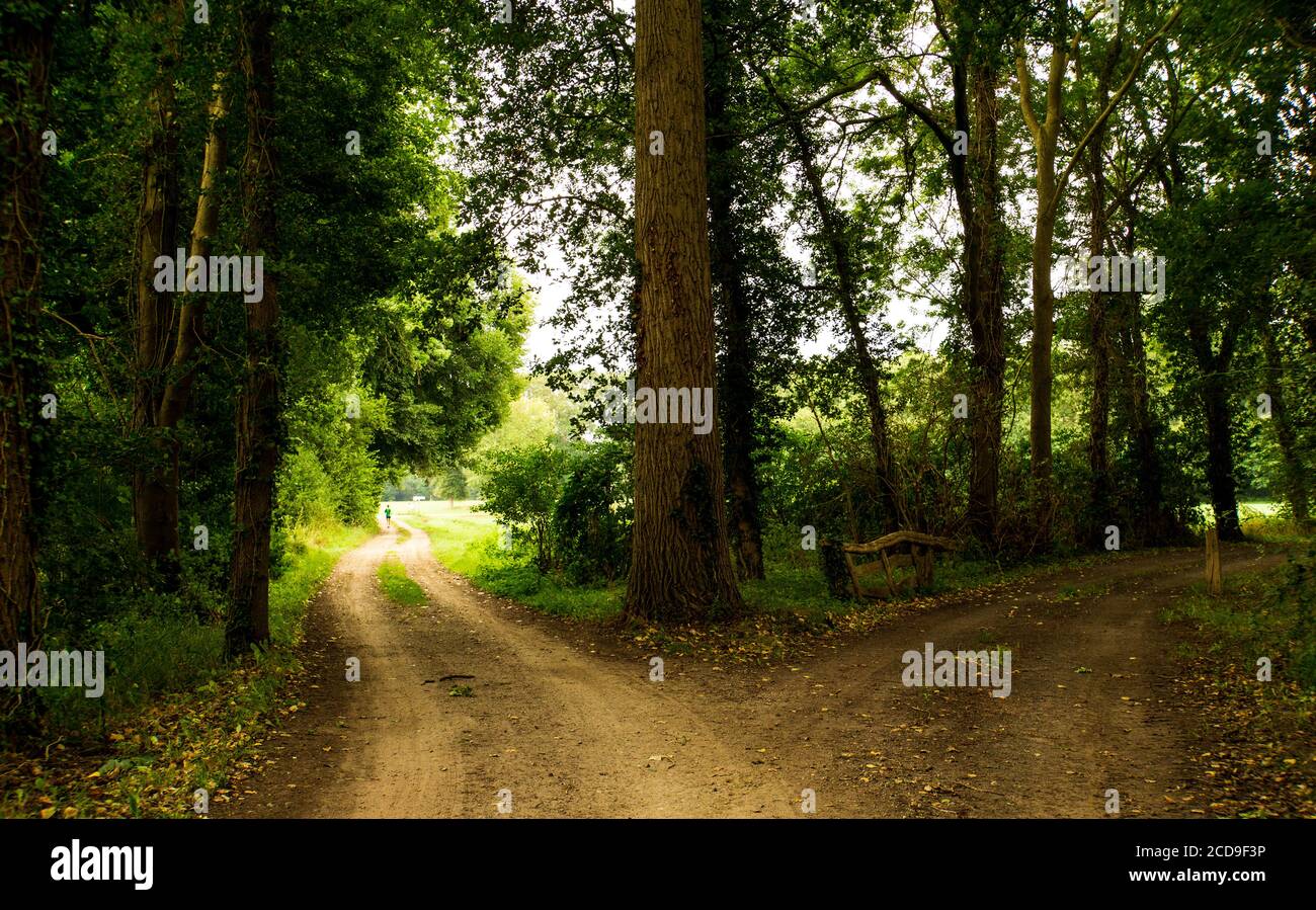 Incrocio bivio bivio immagini e fotografie stock ad alta risoluzione ...