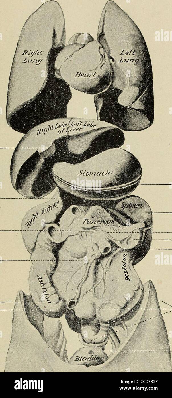 Pustola maligna immagini e fotografie stock ad alta risoluzione - Alamy