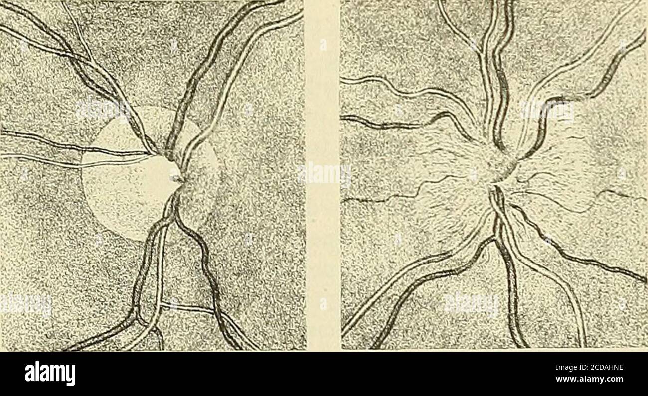. La pratica della medicina; un testo-libro per i medici e gli studenti ...
