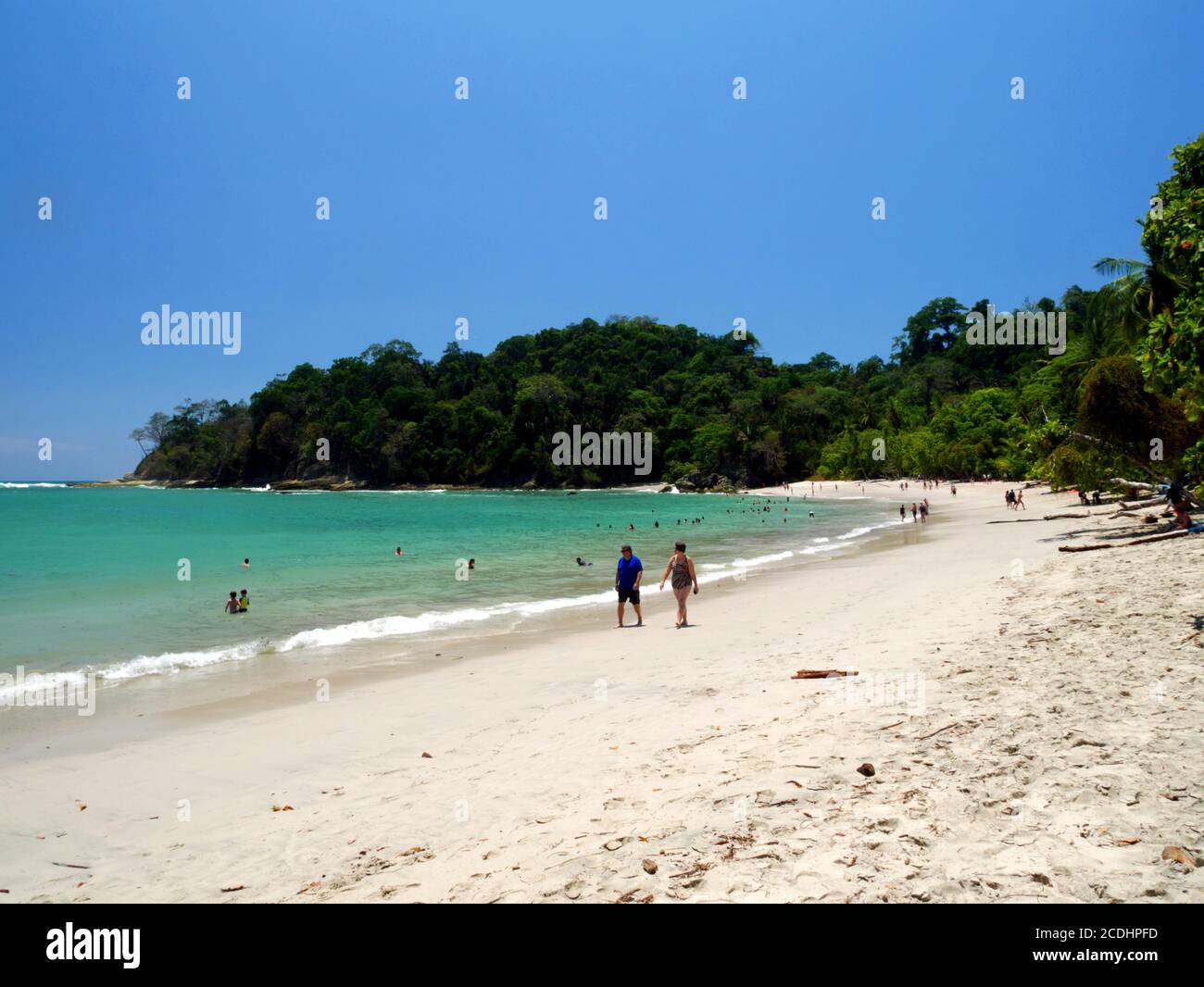 Parco nazionale del pacifico immagini e fotografie stock ad alta ...