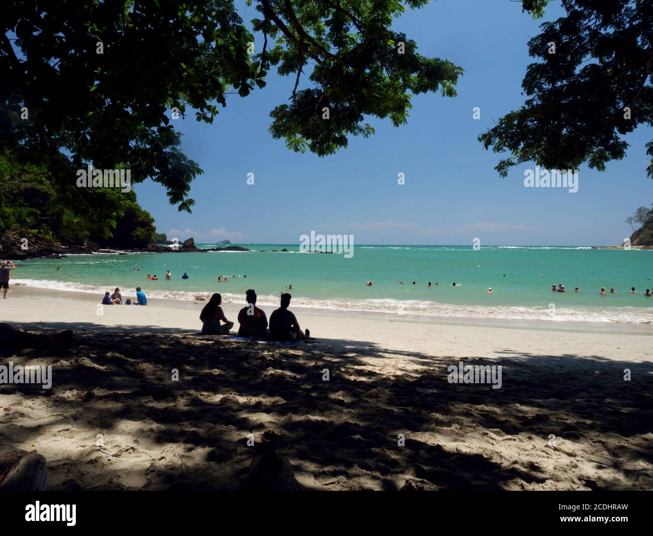 Parco nazionale del pacifico immagini e fotografie stock ad alta ...