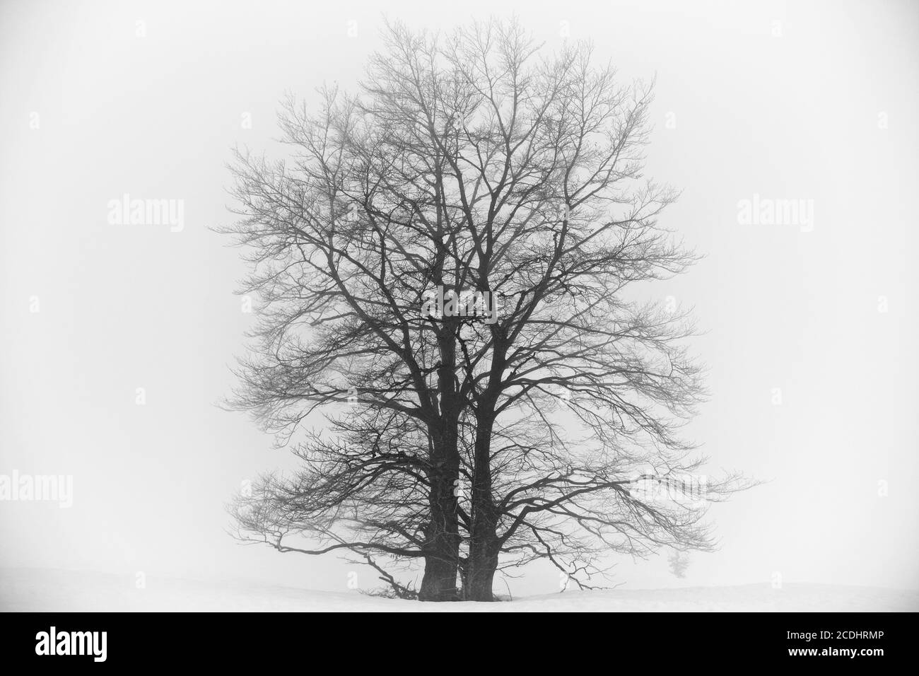 Immagini dell'inverno Foto e Immagini Stock in Bianco e Nero - Alamy