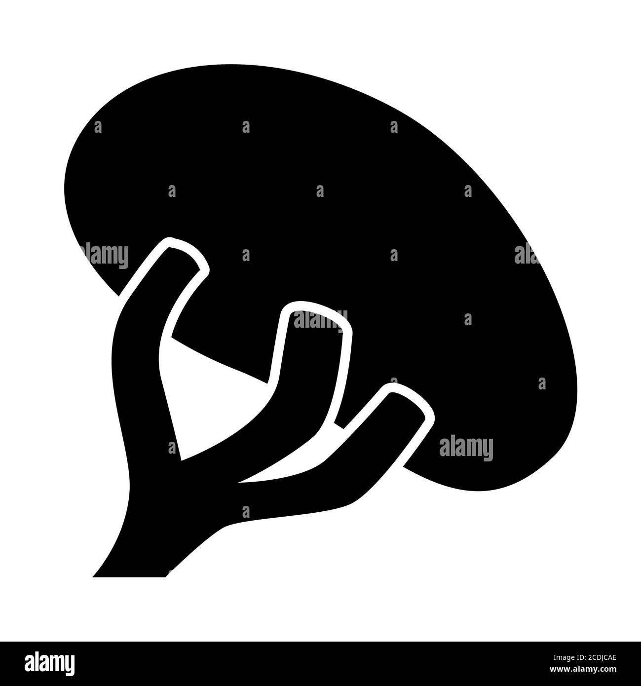 Anatomia della milza immagini e fotografie stock ad alta risoluzione ...