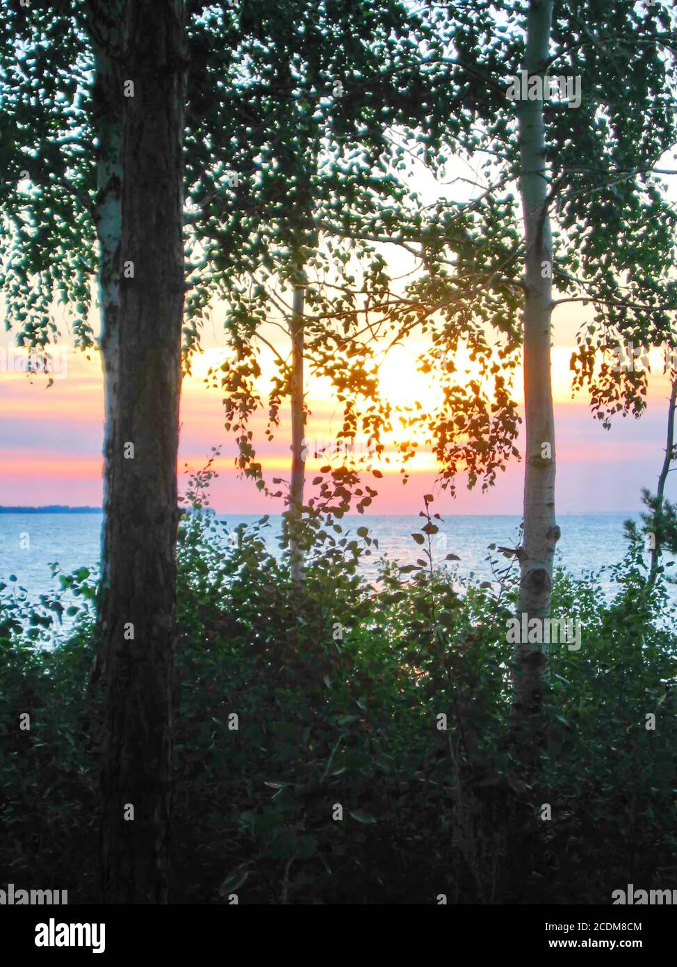 Estate mare immagini e fotografie stock ad alta risoluzione - Alamy