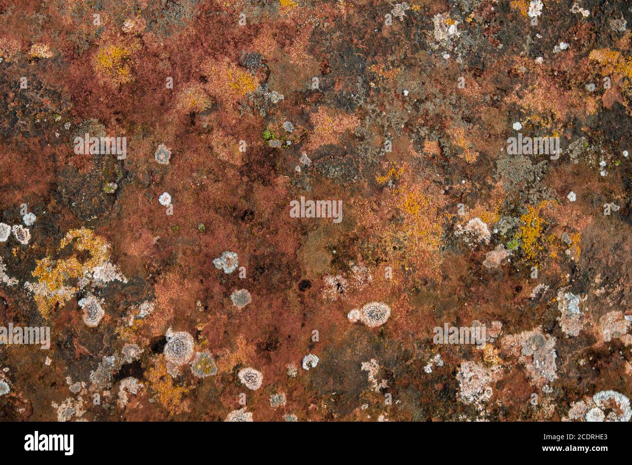 Roccia della marna immagini e fotografie stock ad alta risoluzione - Alamy
