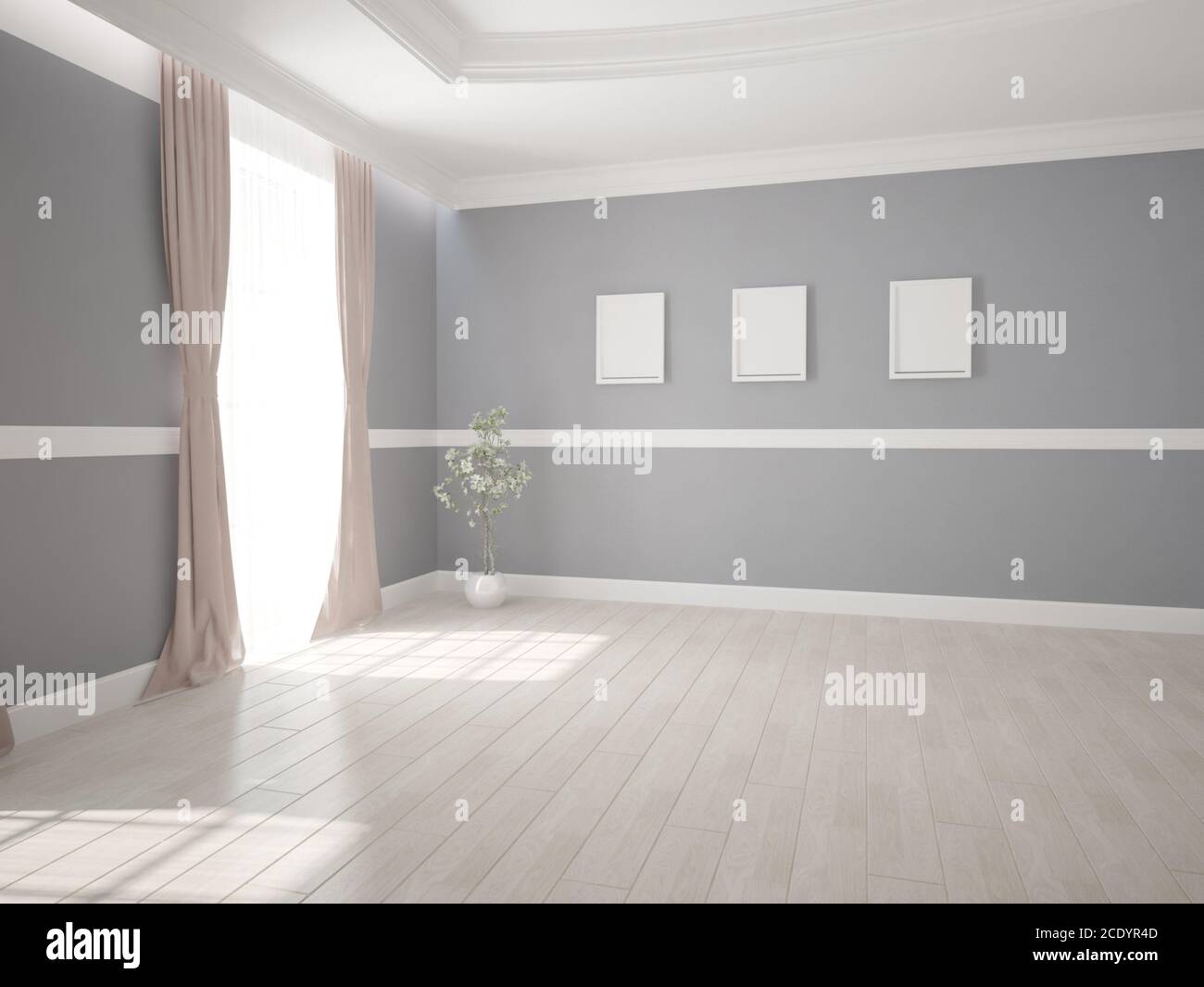 camera vuota moderna con pianta in vaso bianco e cornici bianche su ...