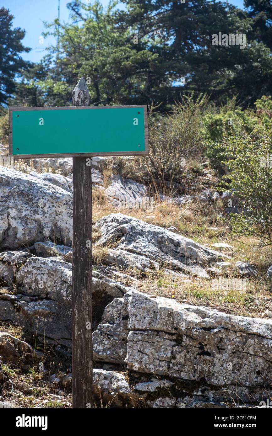 Cartello verde bianco mockup su palo di legno, foresta montagna natura ...
