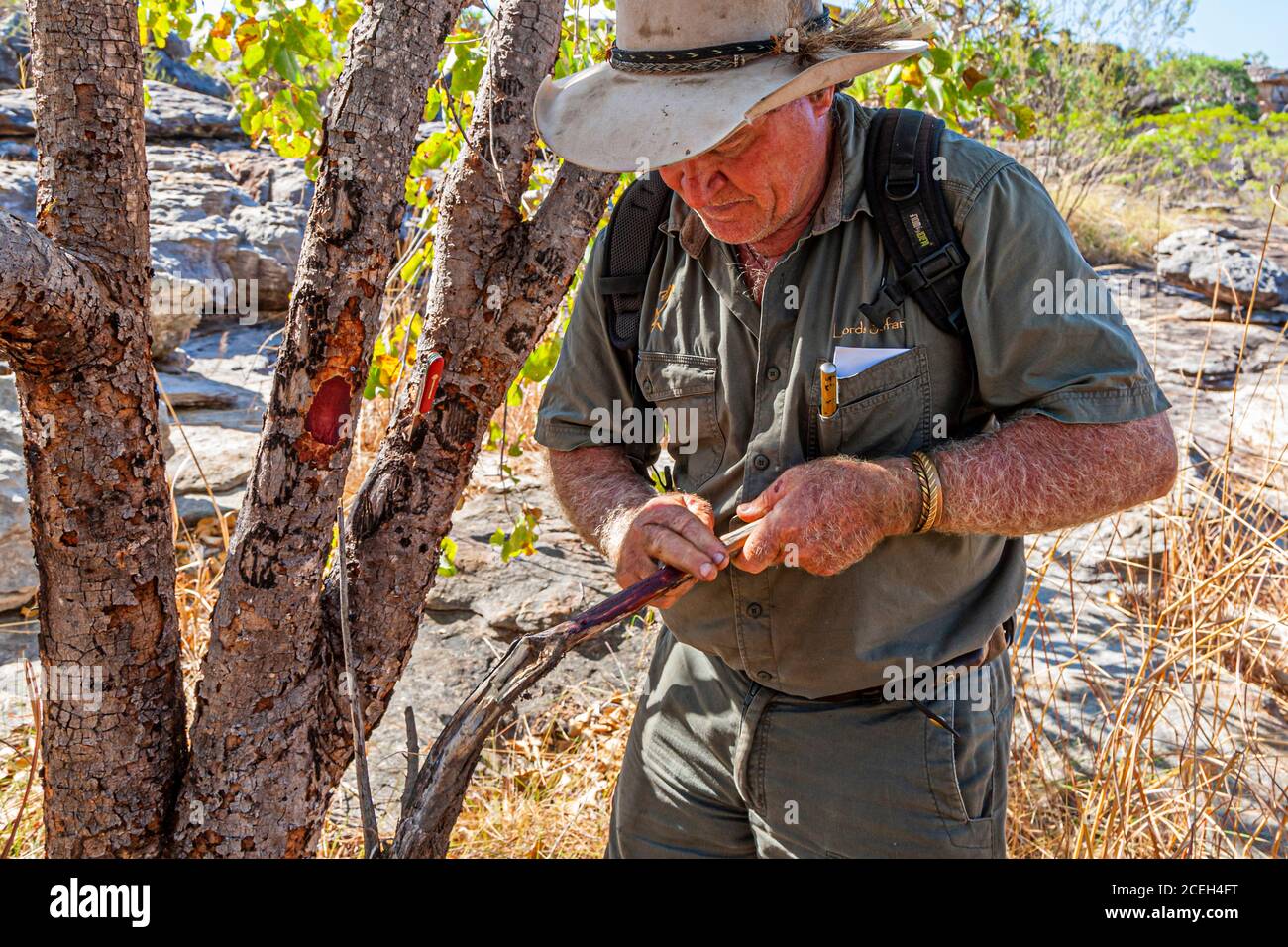 Australian outback worker immagini e fotografie stock ad alta ...