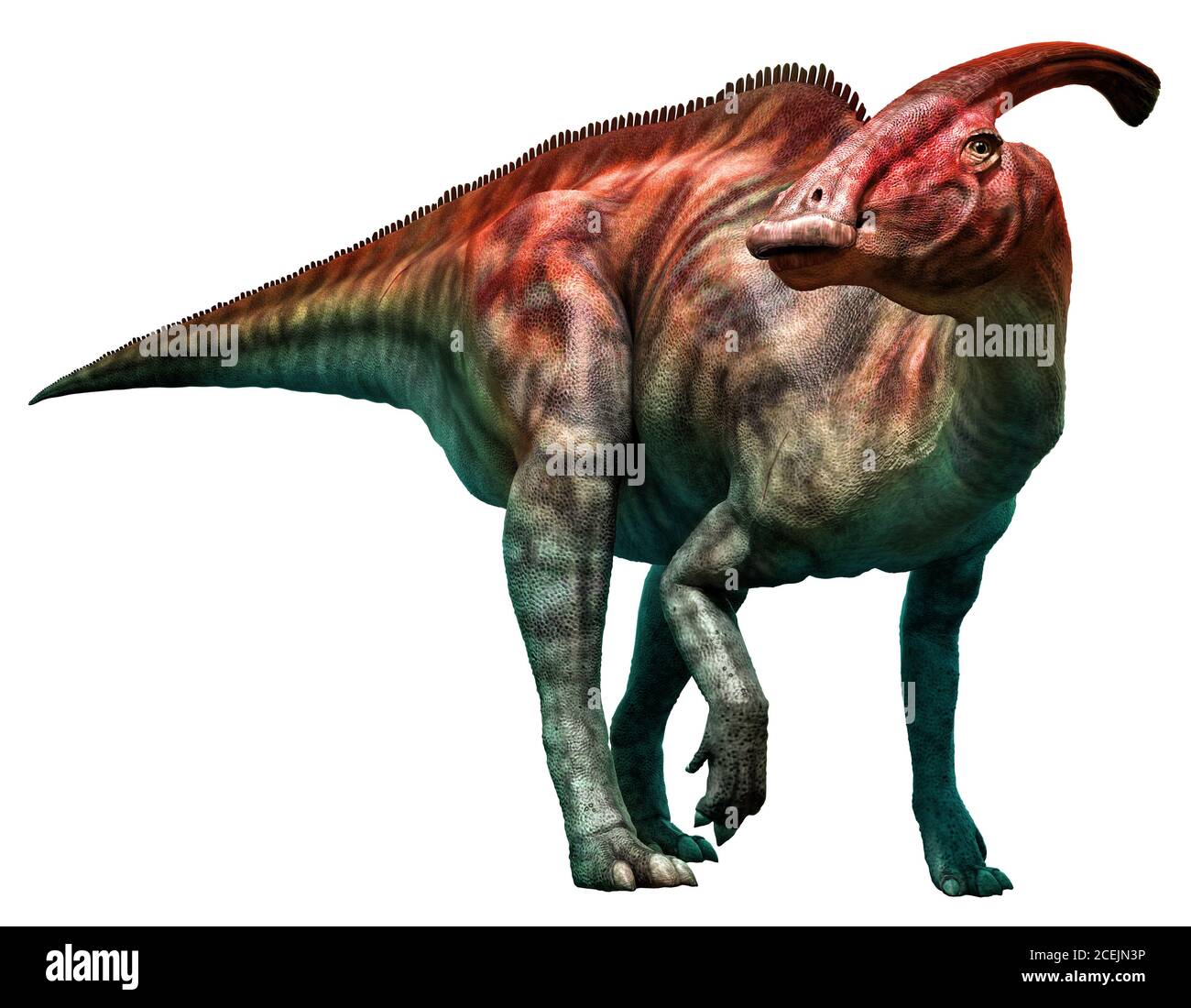 Parasaurolophus walkeri immagini e fotografie stock ad alta risoluzione ...