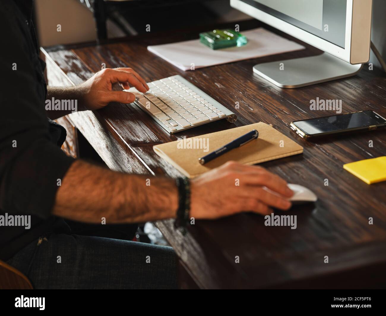 dettaglio delle mani dell'uomo che lavorano a casa con il computer ...