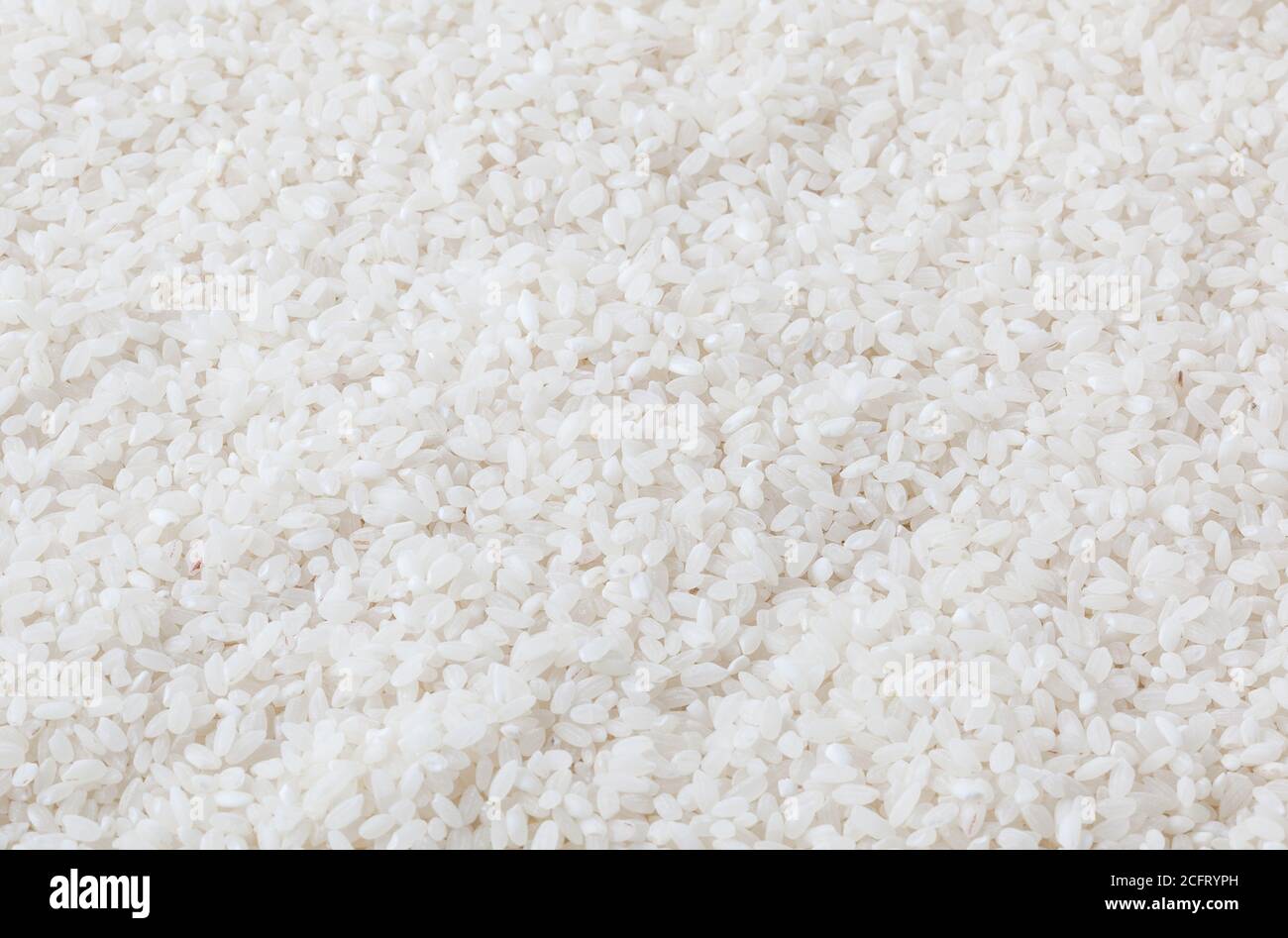 Texture d'écorce immagini e fotografie stock ad alta risoluzione - Alamy