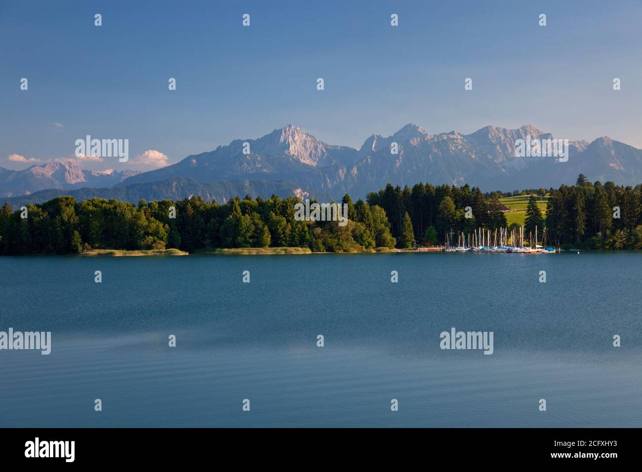 Lago forggensee baviera allgaeu immagini e fotografie stock ad alta ...