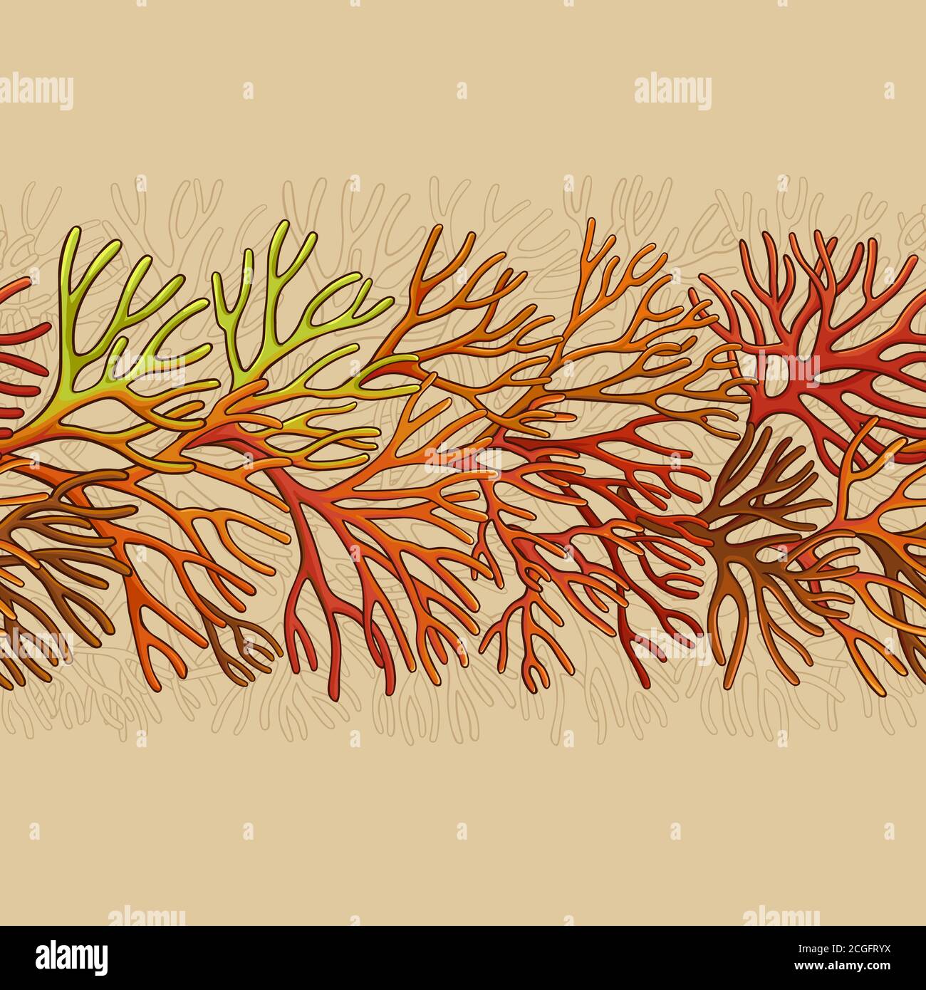 Lumaca di mare commestibile o buccino Immagini Vettoriali Stock - Alamy