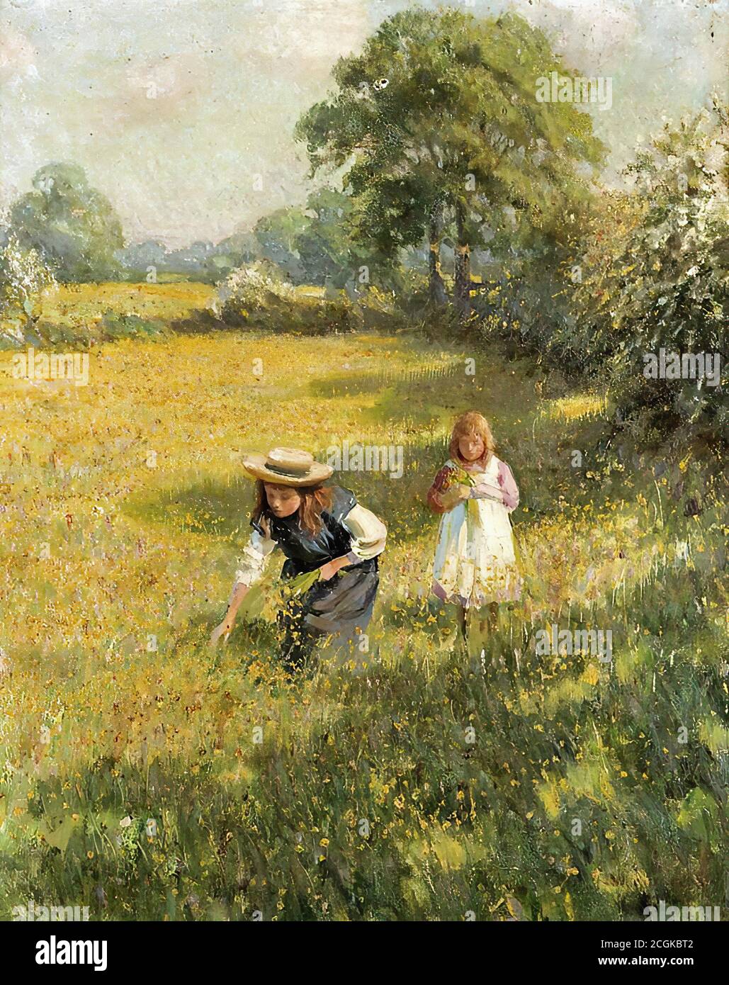 Rowland wheelwright immagini e fotografie stock ad alta risoluzione - Alamy