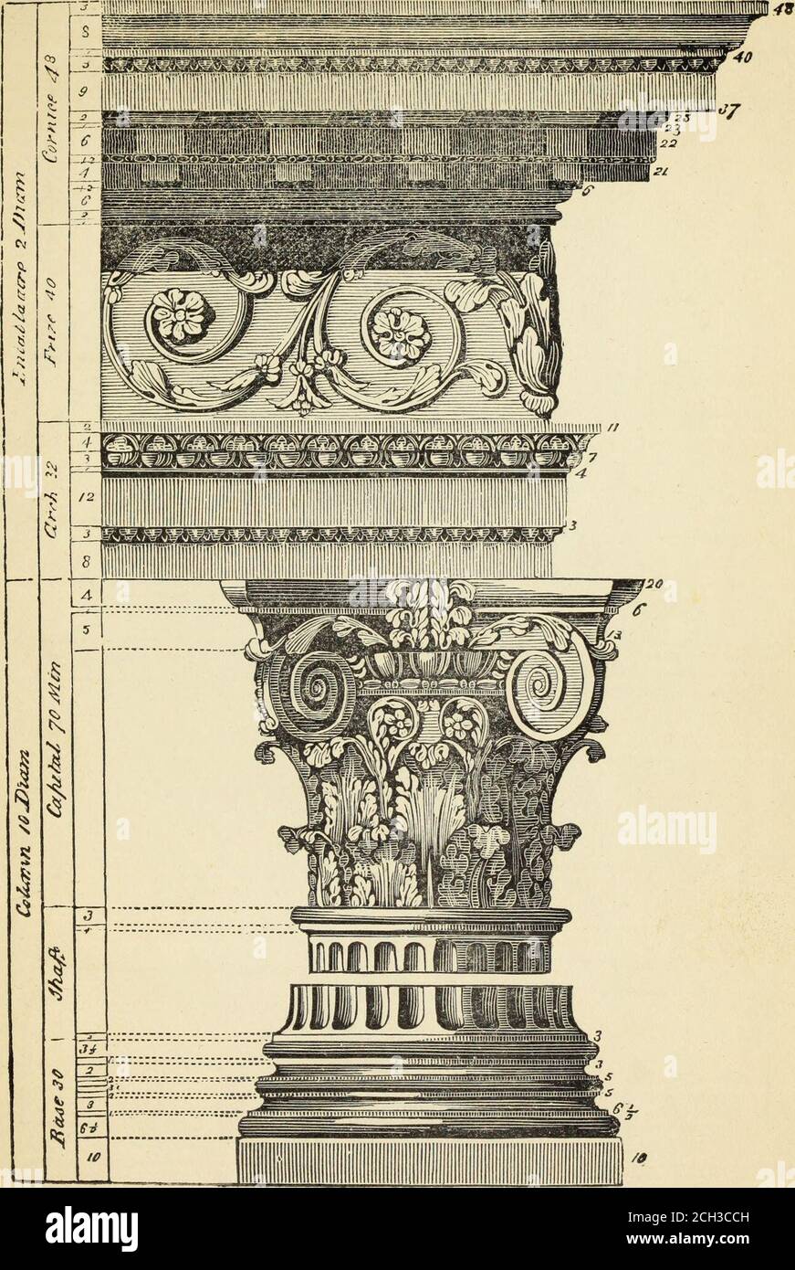 Capitello composito disegno immagini e fotografie stock ad alta ...